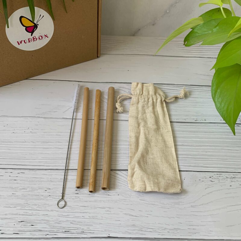 Buy Bulk Eco Friendly Bamboo Straw Kit h in India - WudBox