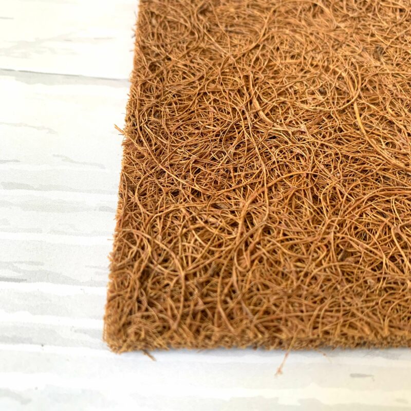 Buy Bulk Eco Friendly Coconut Coir Scrubber in India - WudBox
