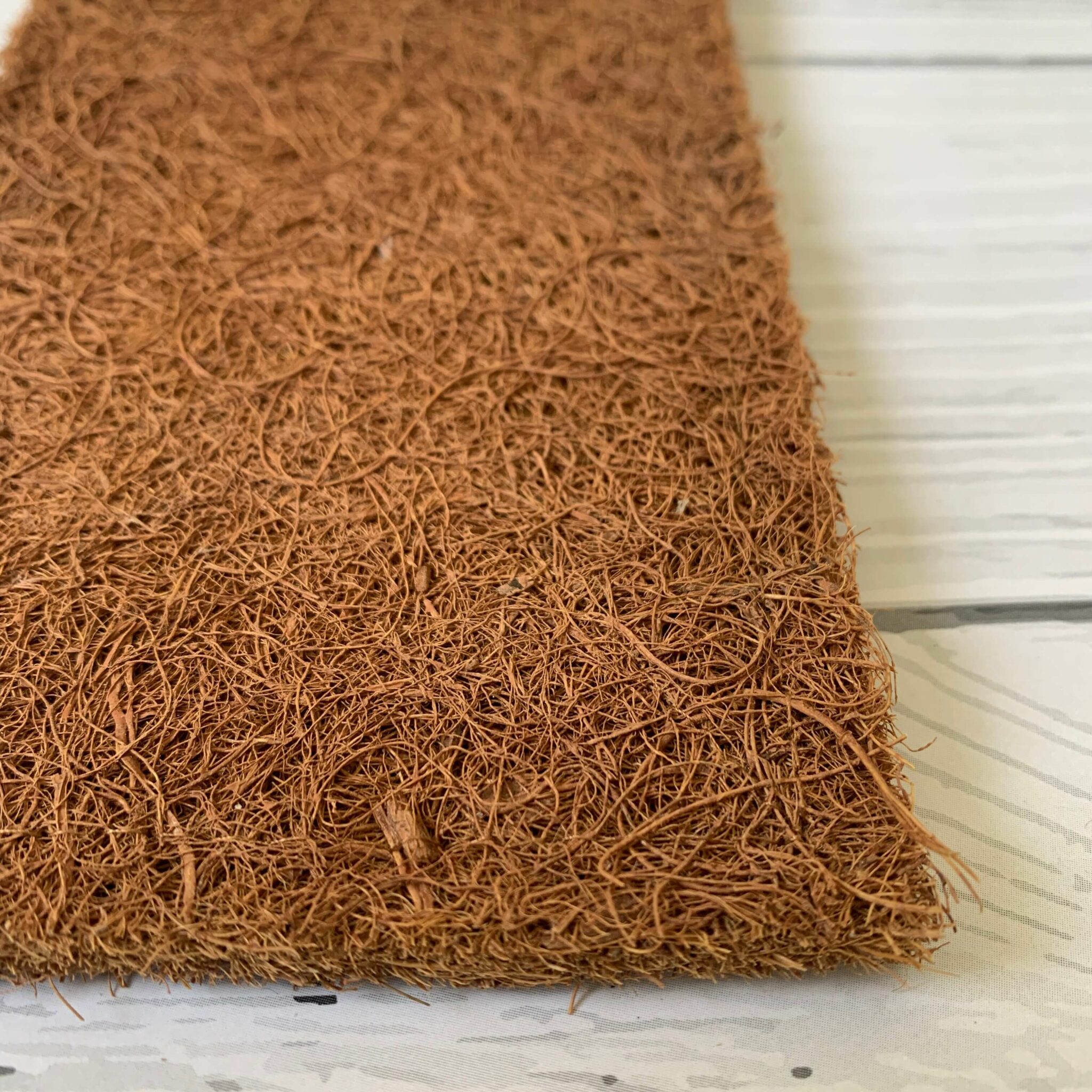 Buy Bulk Eco Friendly Coconut Coir Scrubber in India - WudBox
