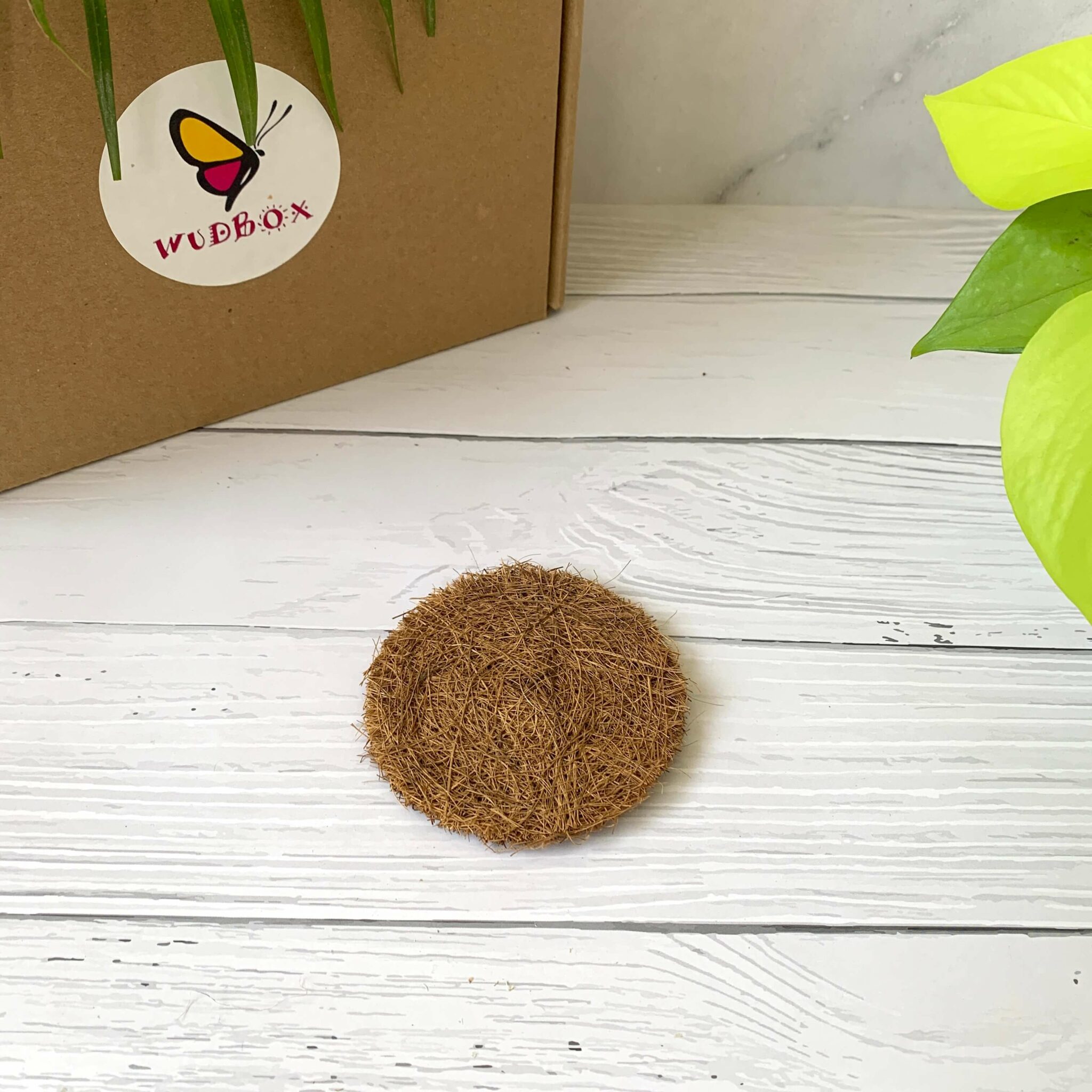 Buy Bulk Eco Friendly Coconut Coir Scrubber in India - WudBox