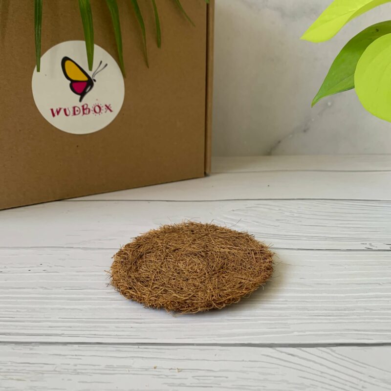 Buy Bulk Eco Friendly Coconut Coir Scrubber in India - WudBox