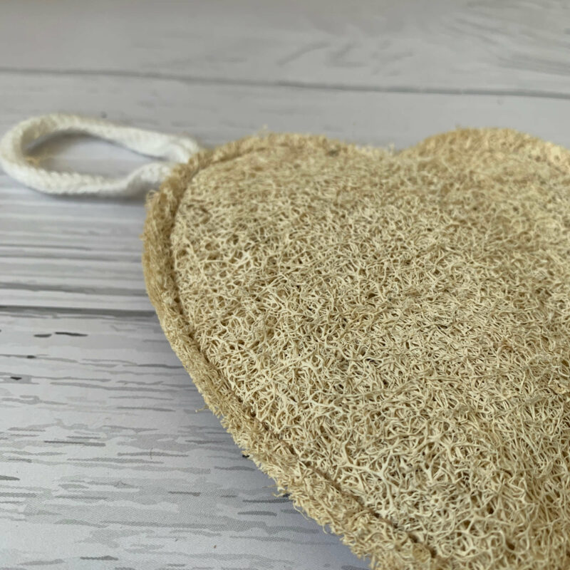 Buy Bulk Natural Flat Loofah Scrubber in India - WudBox