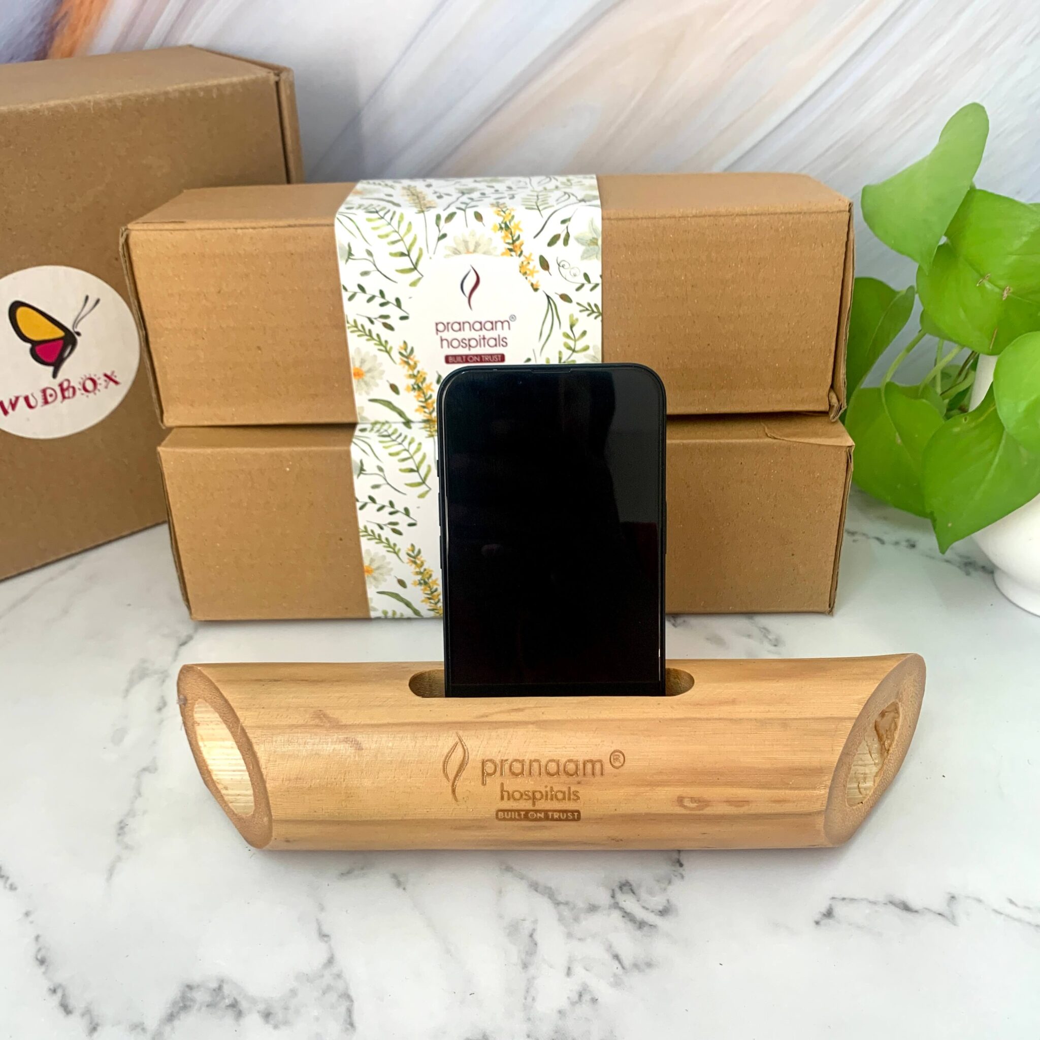 Eco Friendly & Green Products for Companies - WudBox