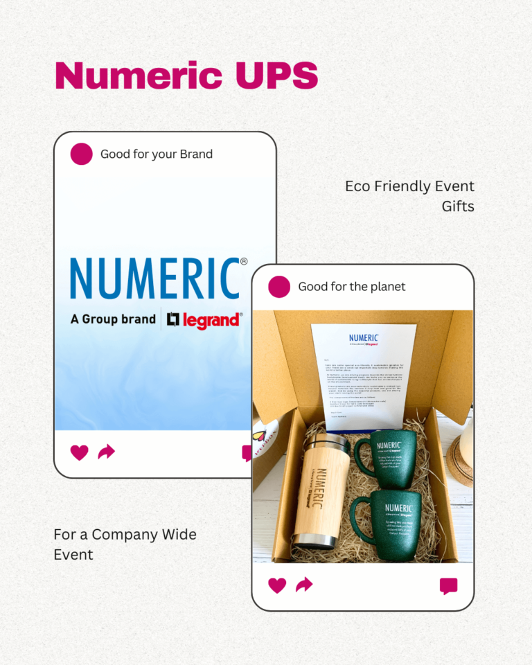 Wudbox - Sustainability Partner for Conscious Companies