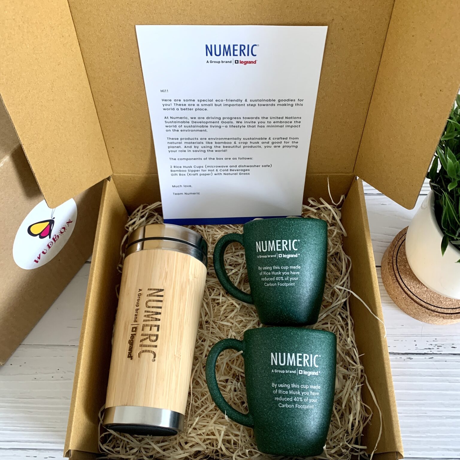 Eco Friendly & Green Products for Companies - WudBox