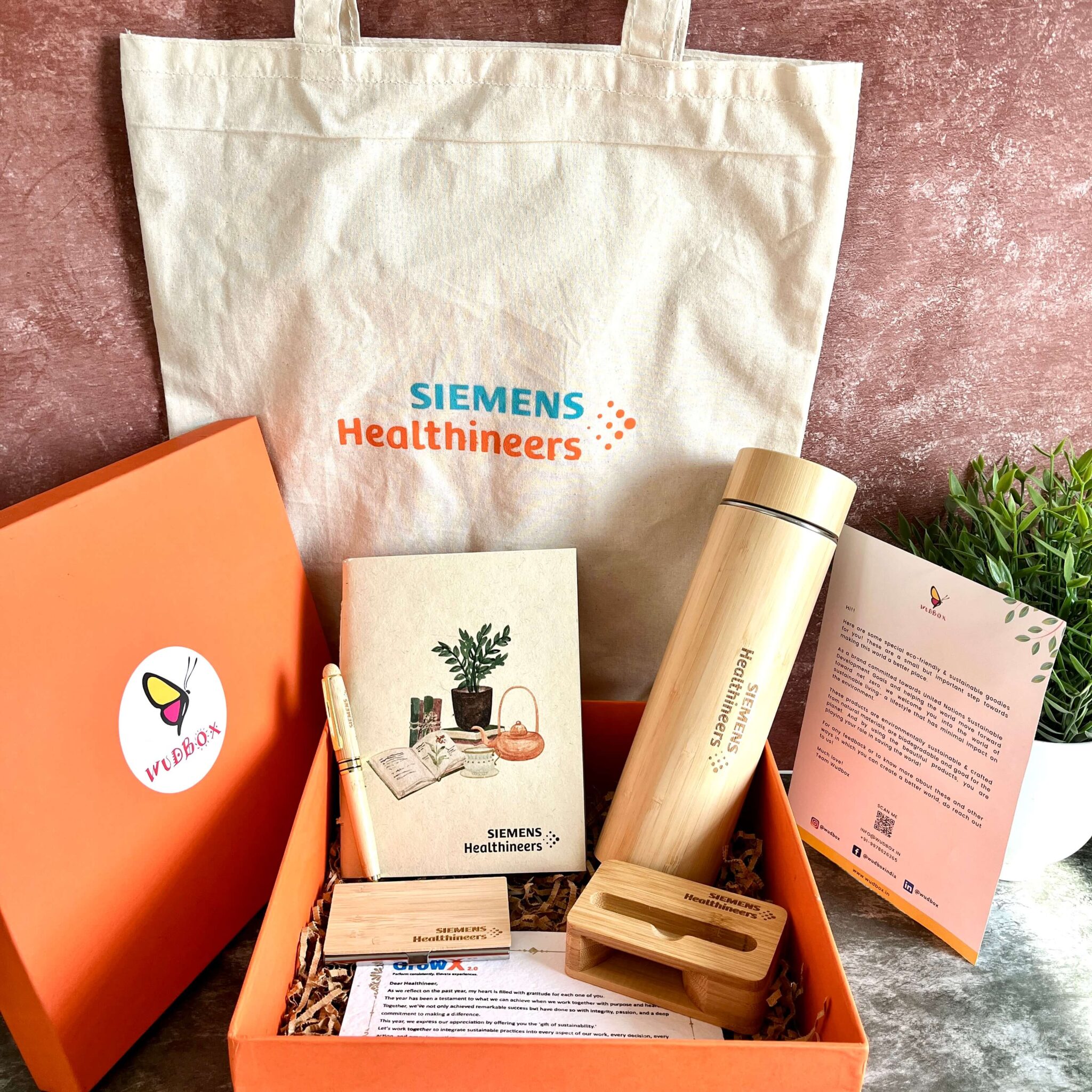 Buy Eco-Friendly Corporate Gifts | Sustainable & Thoughtful Gifting ...