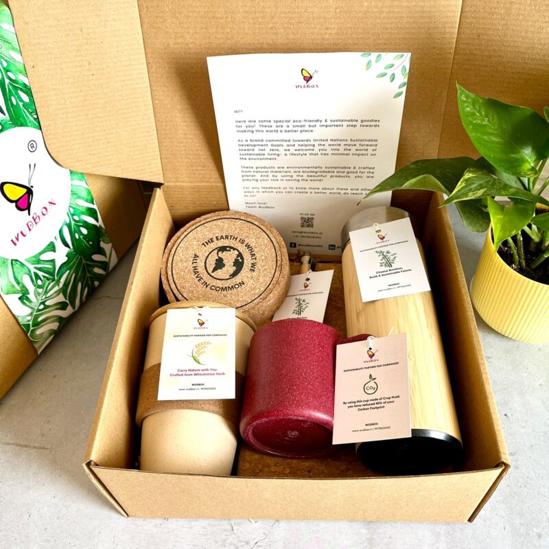 Green Edge Set- WudBox