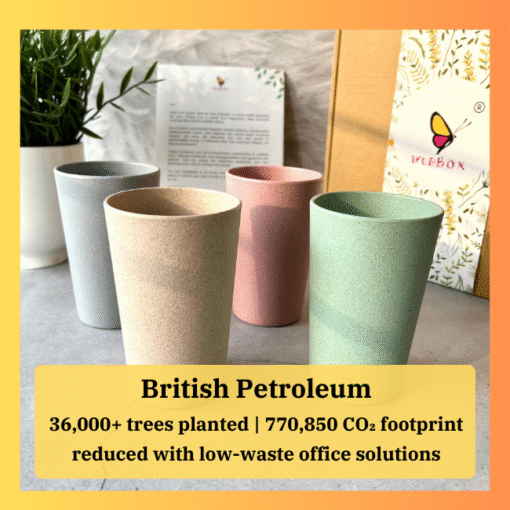 Wudbox - Sustainability Partner for Conscious Companies