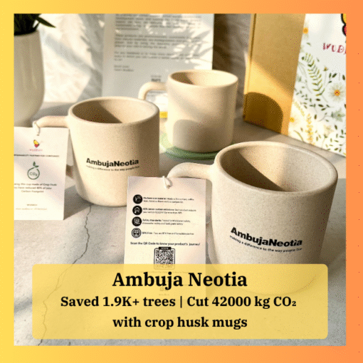 Wudbox - Sustainability Partner for Conscious Companies